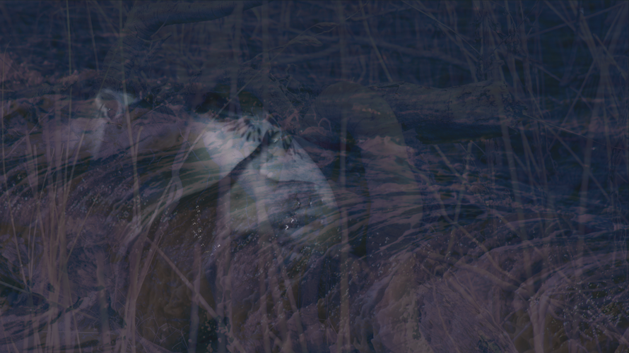 Home [www.ruthiephilipsmithphotography.co.uk]